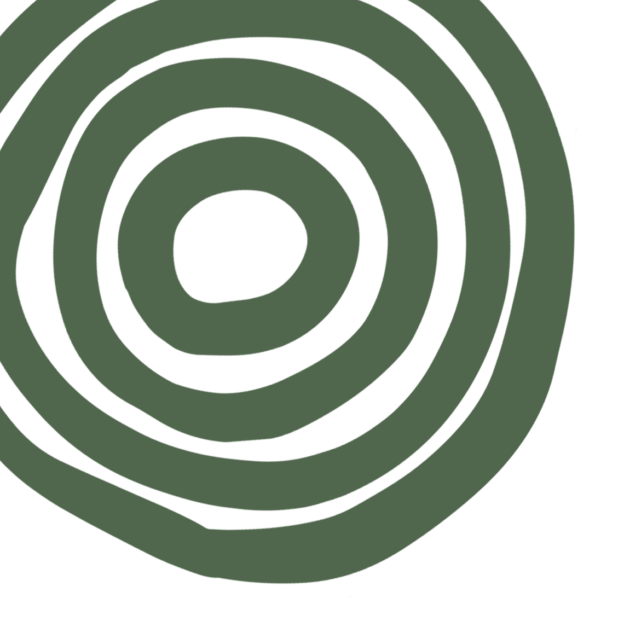 Nurturing a Child’s Spirit - TREES Network